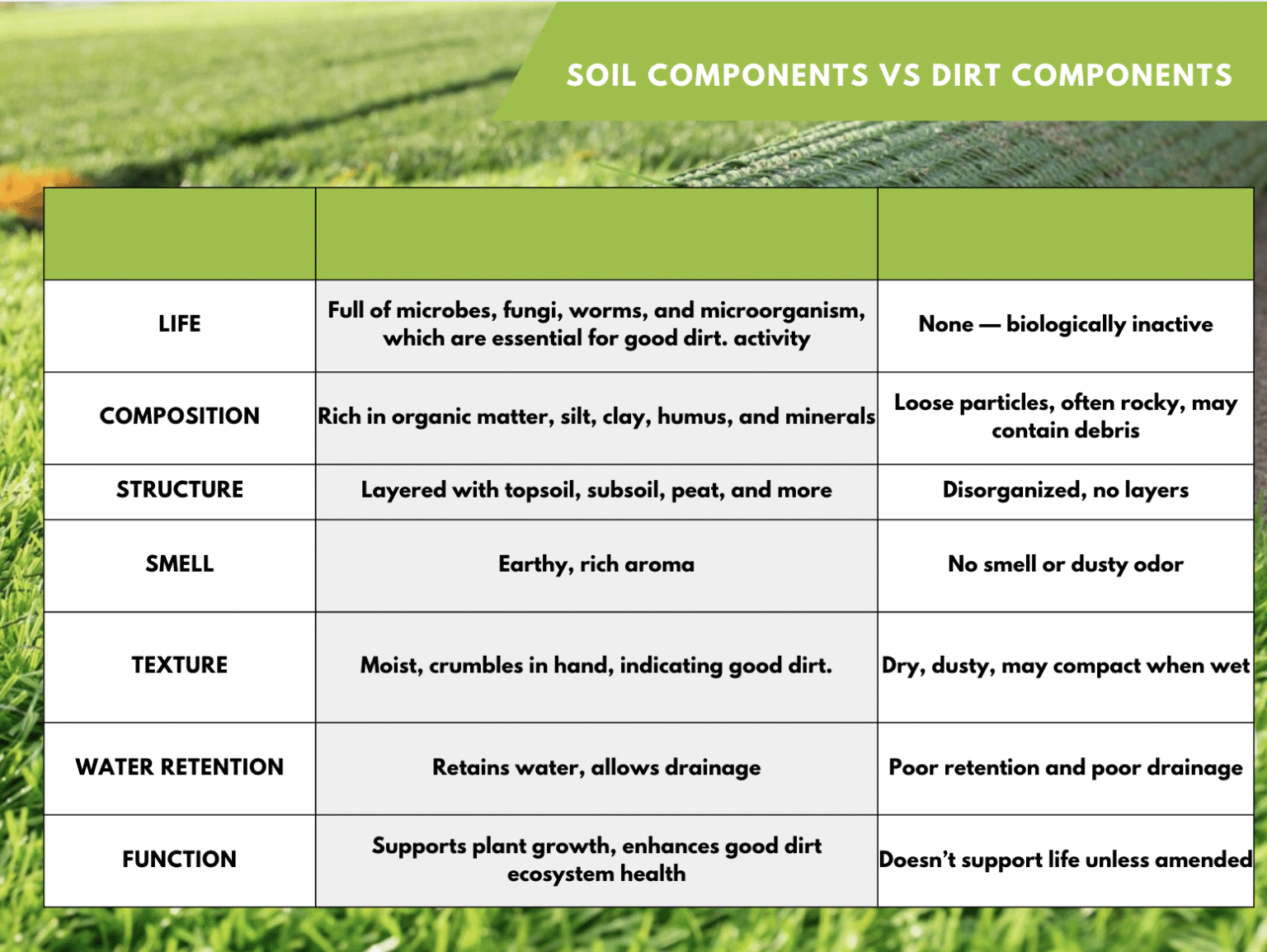 Soil vs Dirt: Difference and Comparison - US Turf San Diego